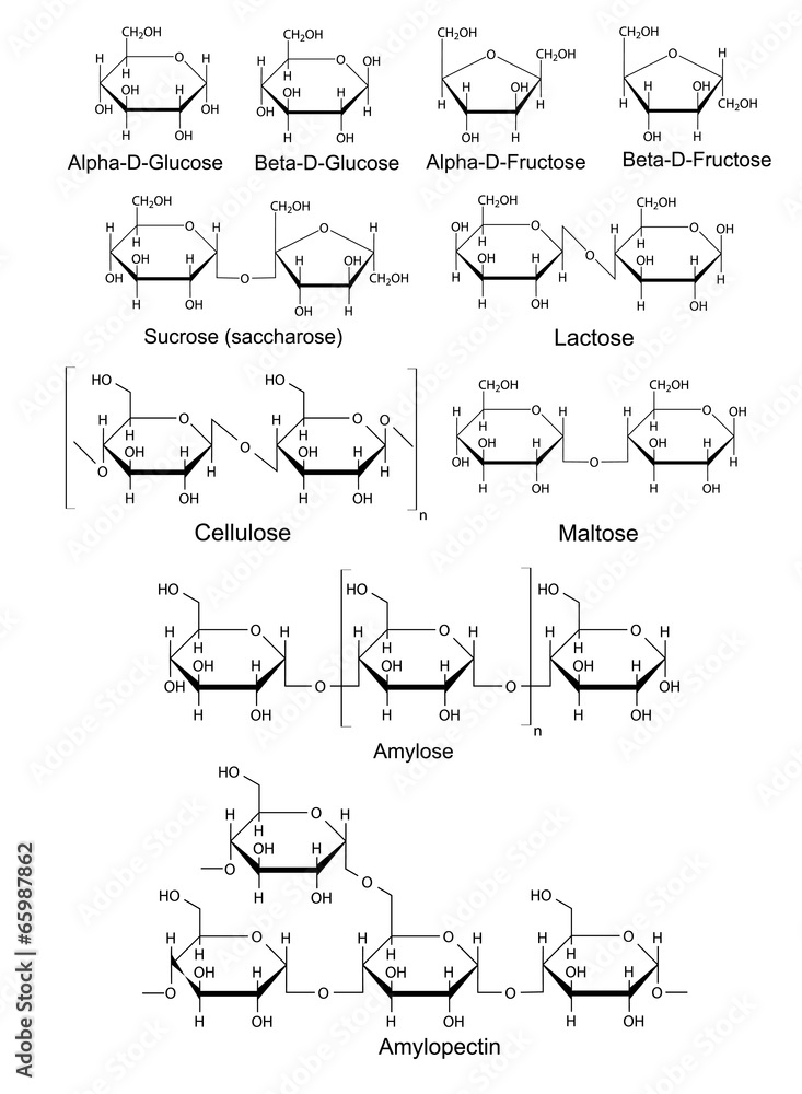 Chemical structural formulas of basic carbohydrates Stock Vector ...