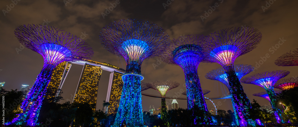 Photo & Art Print Gardens by the Bay - SuperTree Grove in Singapore, theyok