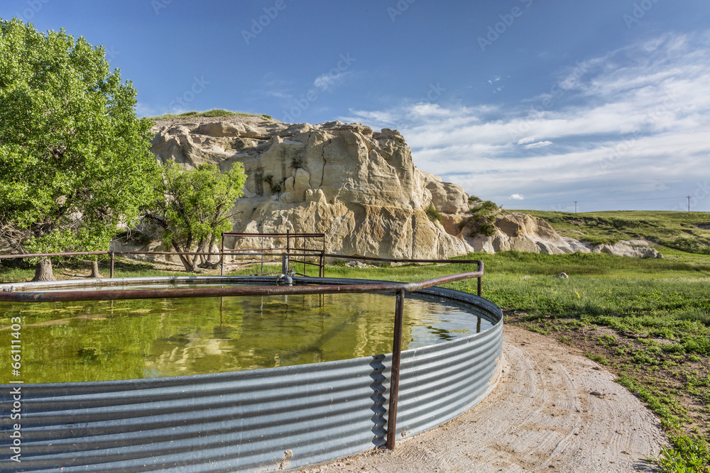 cattle water tank Stock Photo | Adobe Stock
