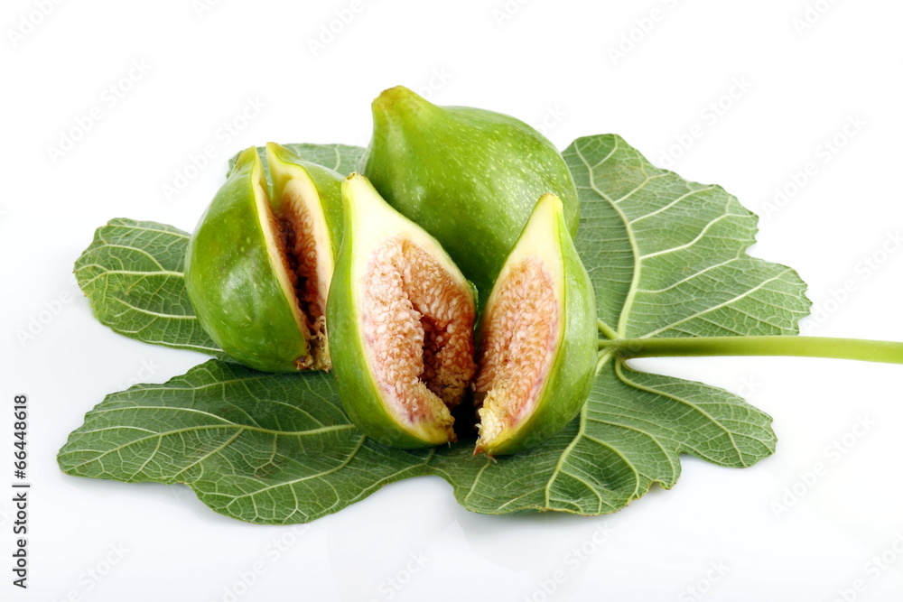 Foglia di fico con fichi fioroni Stock Photo | Adobe Stock