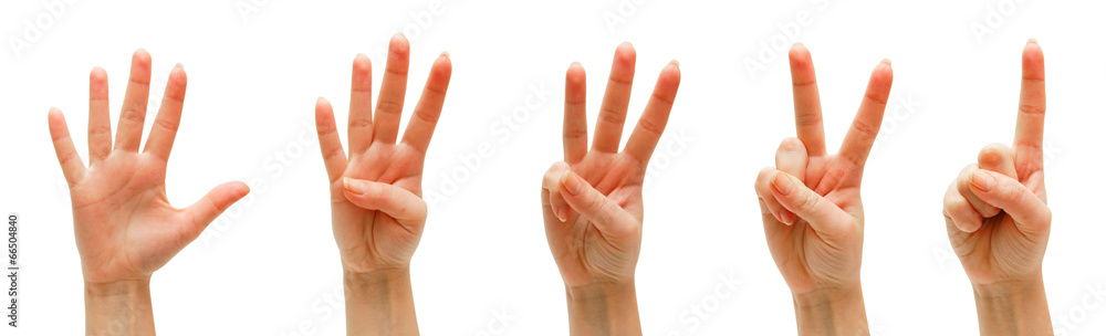 Hands, fingers and numbers. Stock Photo | Adobe Stock