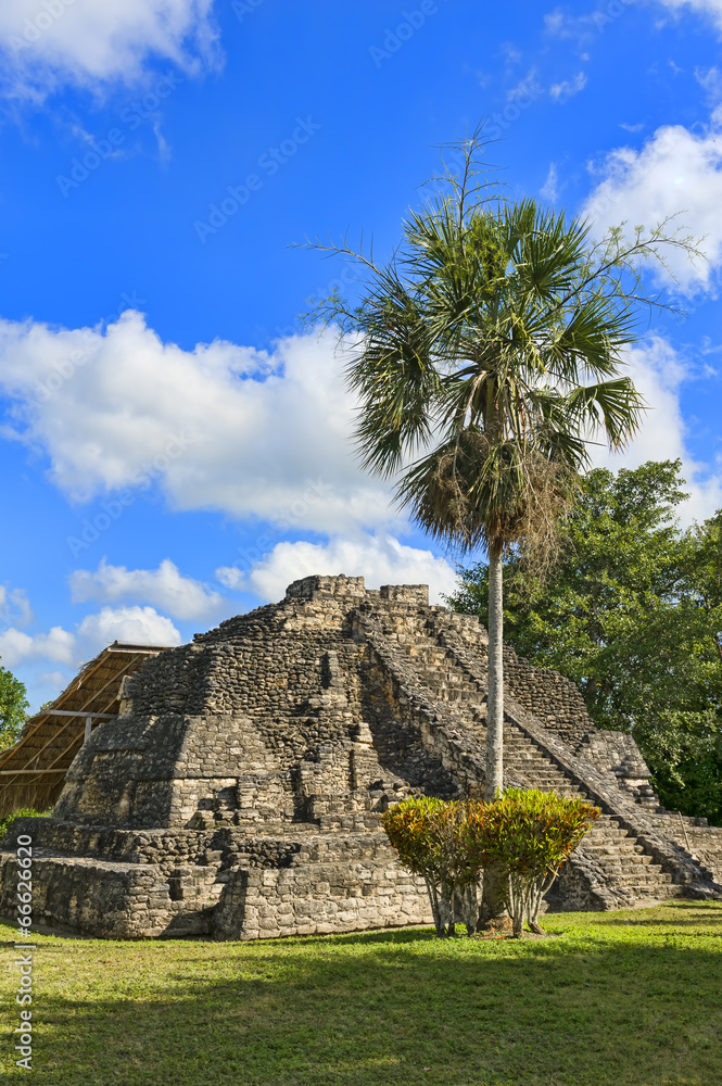 Karibik, Costa Maya, Maya Stufenpyramide im Dschungel Stock Photo ...