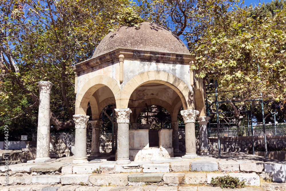 Plane Tree of Hippocrates, Kos island Greece Stock Photo | Adobe Stock