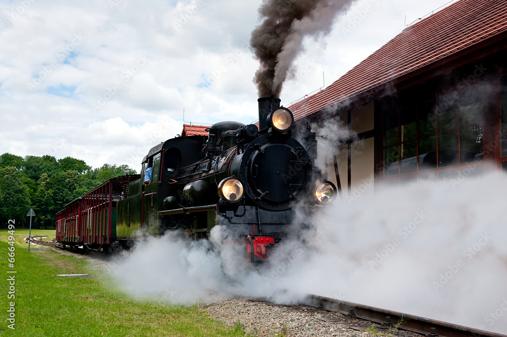 steam narrow-gauge railway locomotive Stock Photo | Adobe Stock