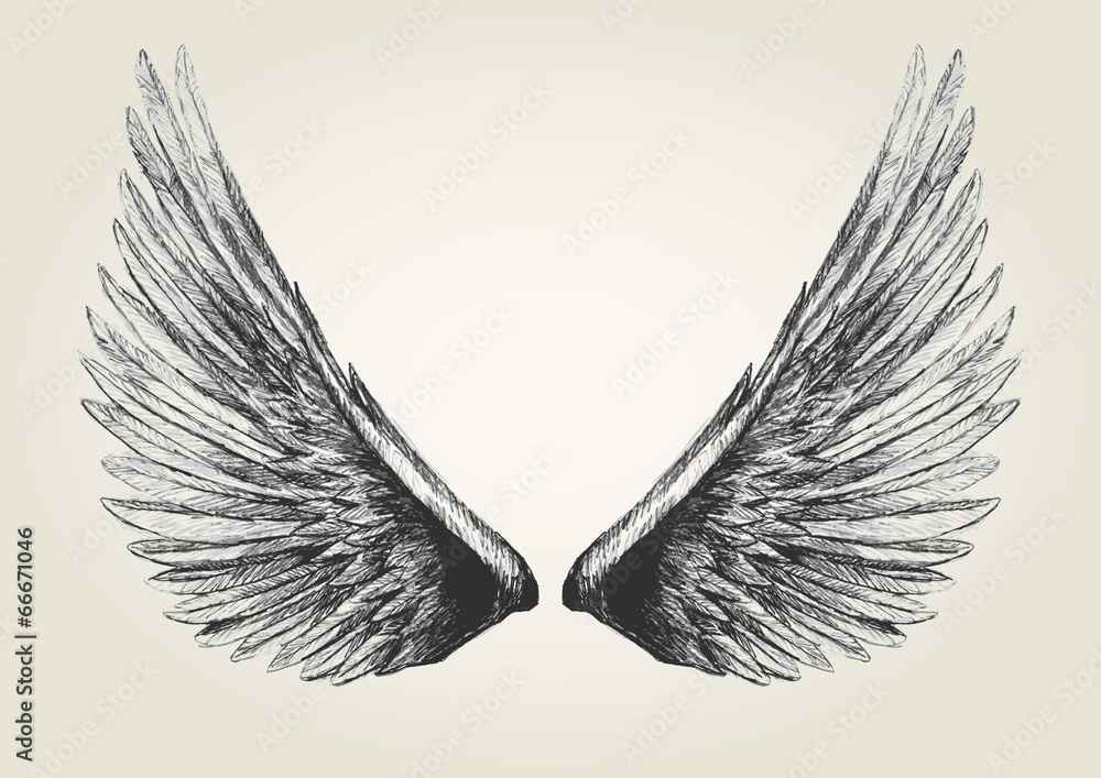 Sketch illustration of wings Stock Vector | Adobe Stock