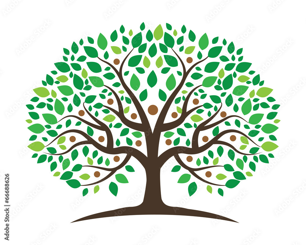 Family Tree 5 Stock Vector | Adobe Stock
