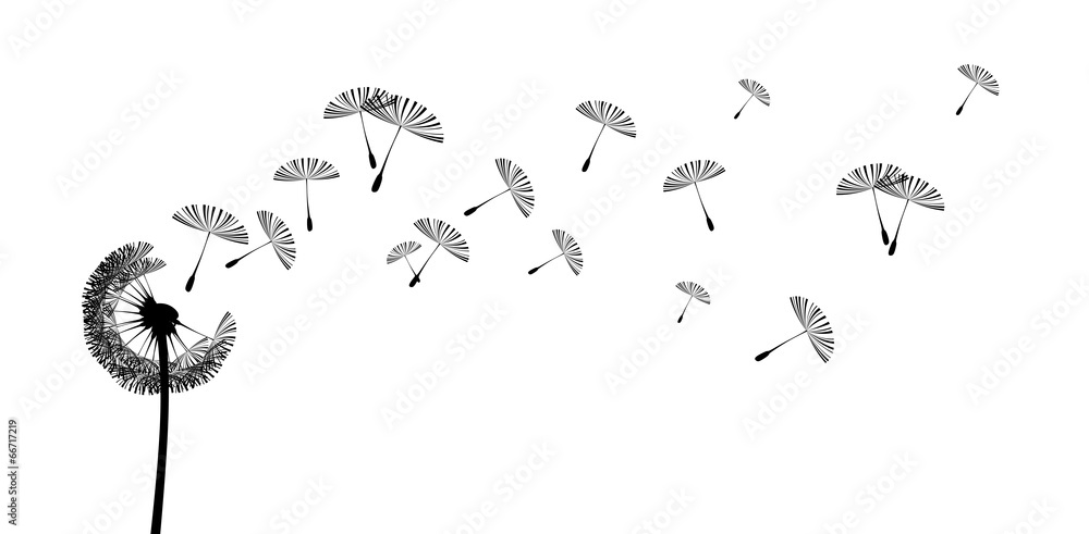 pusteblume2606b Stock-Vektorgrafik | Adobe Stock