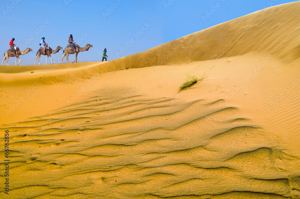 Travel with camel Stock Photo | Adobe Stock