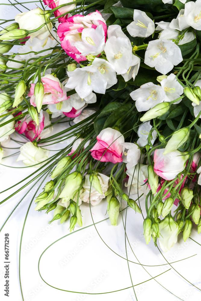 flowers Stock Photo | Adobe Stock