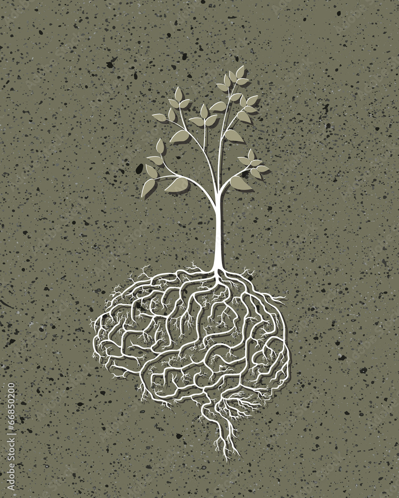 Young plant with brain root, vector Stock Vector | Adobe Stock