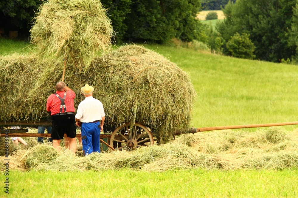 heuwagen V Stock-Foto | Adobe Stock
