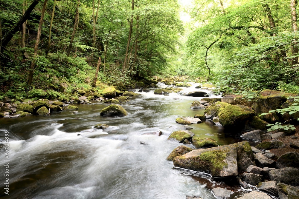 der Fluss Bode im Nationalpark Harz foto de Stock | Adobe Stock