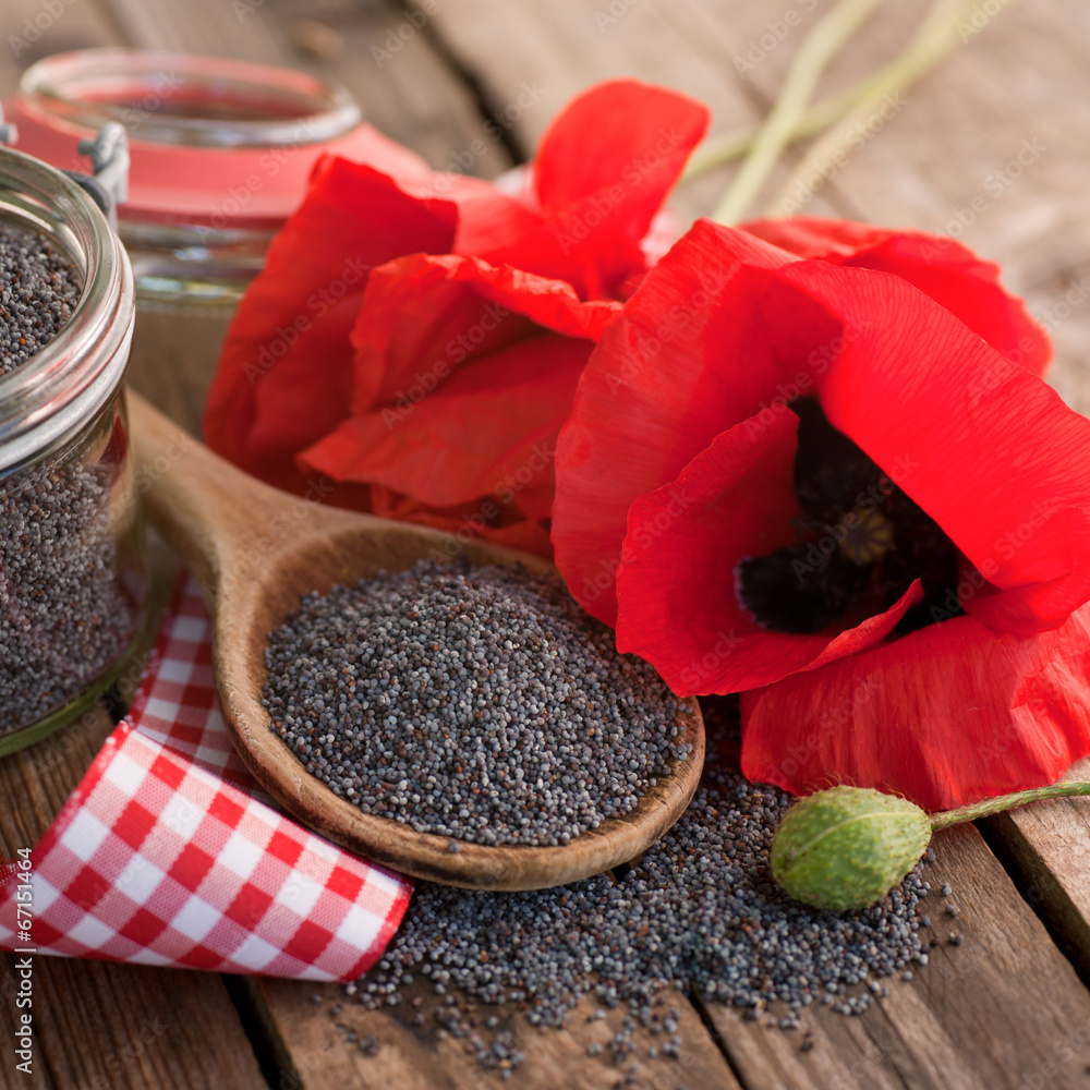 Mohn Stock-Foto | Adobe Stock