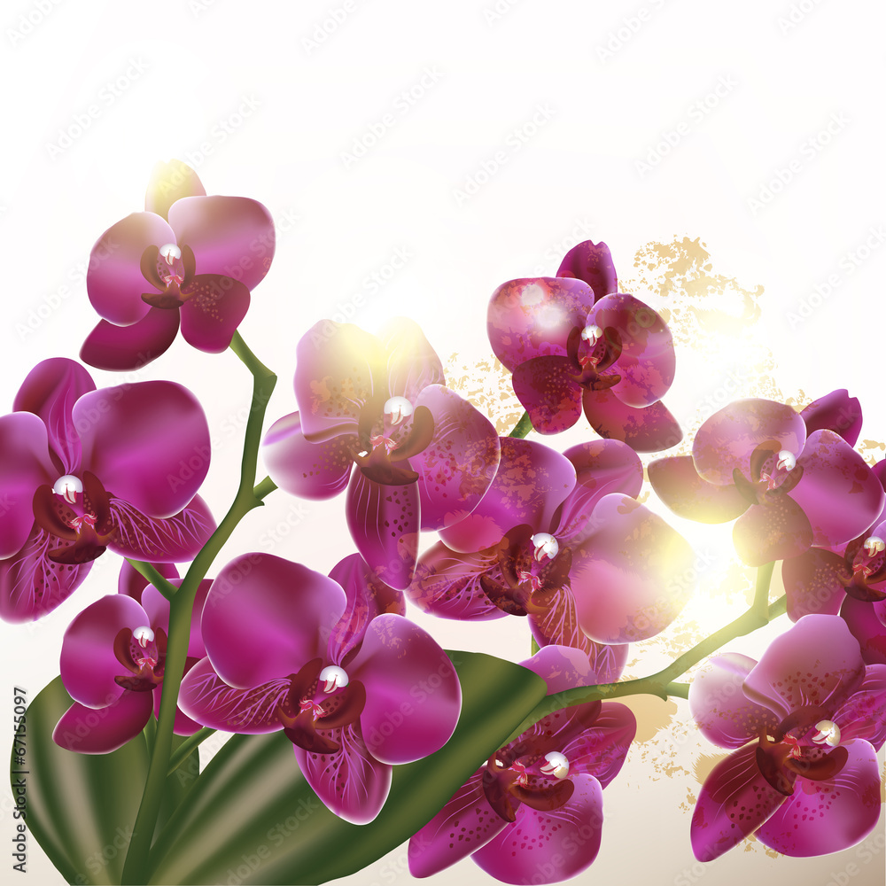 Beautiful background with orchid flowers Stock Vector | Adobe Stock