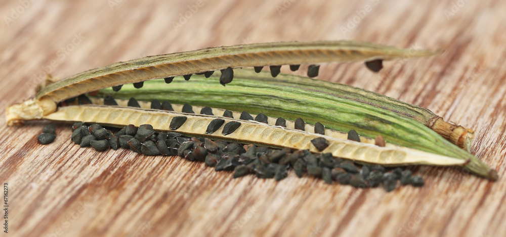 Jute seeds Stock Photo | Adobe Stock