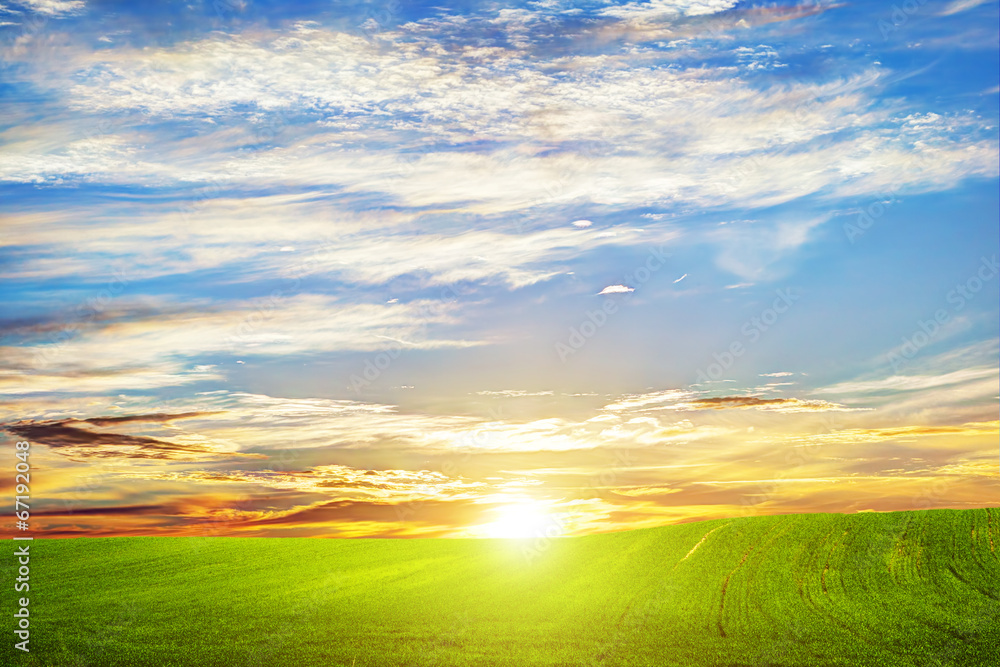 Green grass landscape at sunset. Romantic clouds Stock Photo | Adobe Stock