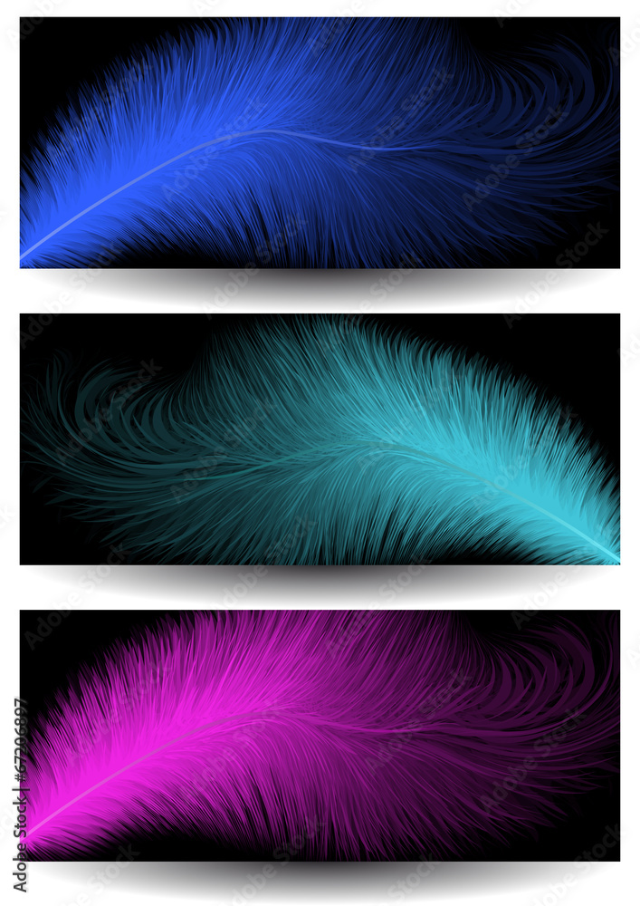 Abstract feather banners Stock Vector | Adobe Stock