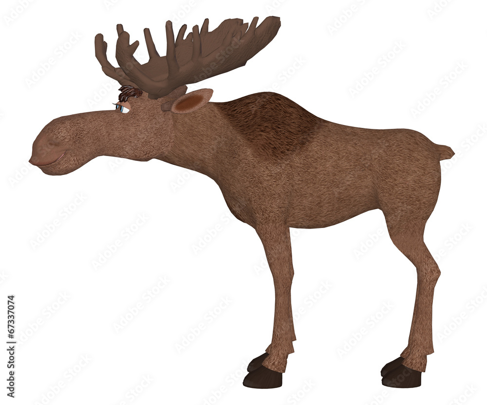 cartoon moose Stock Illustration | Adobe Stock