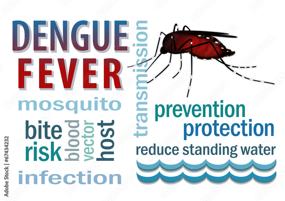 Dengue Fever Word Collage, Mosquito, Standing Water Stock Vector ...