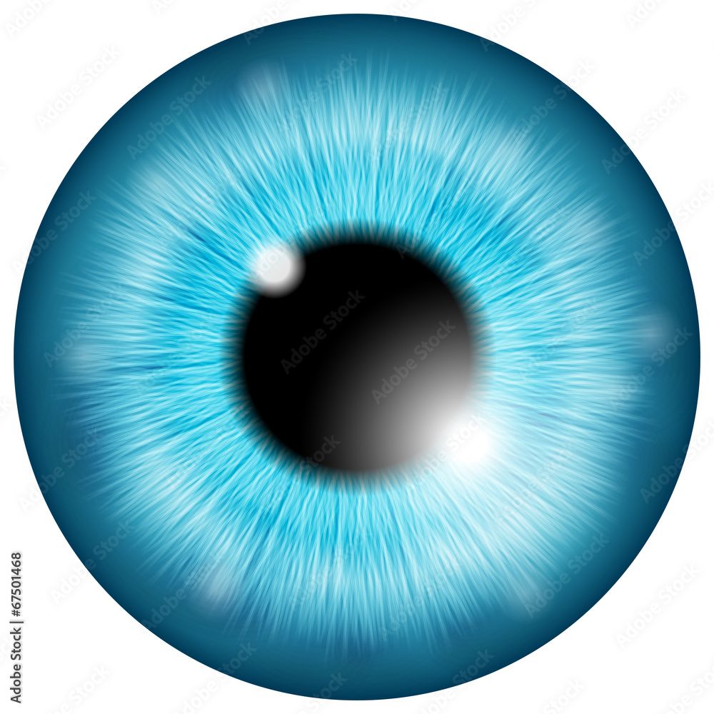 Eye iris Stock Vector | Adobe Stock