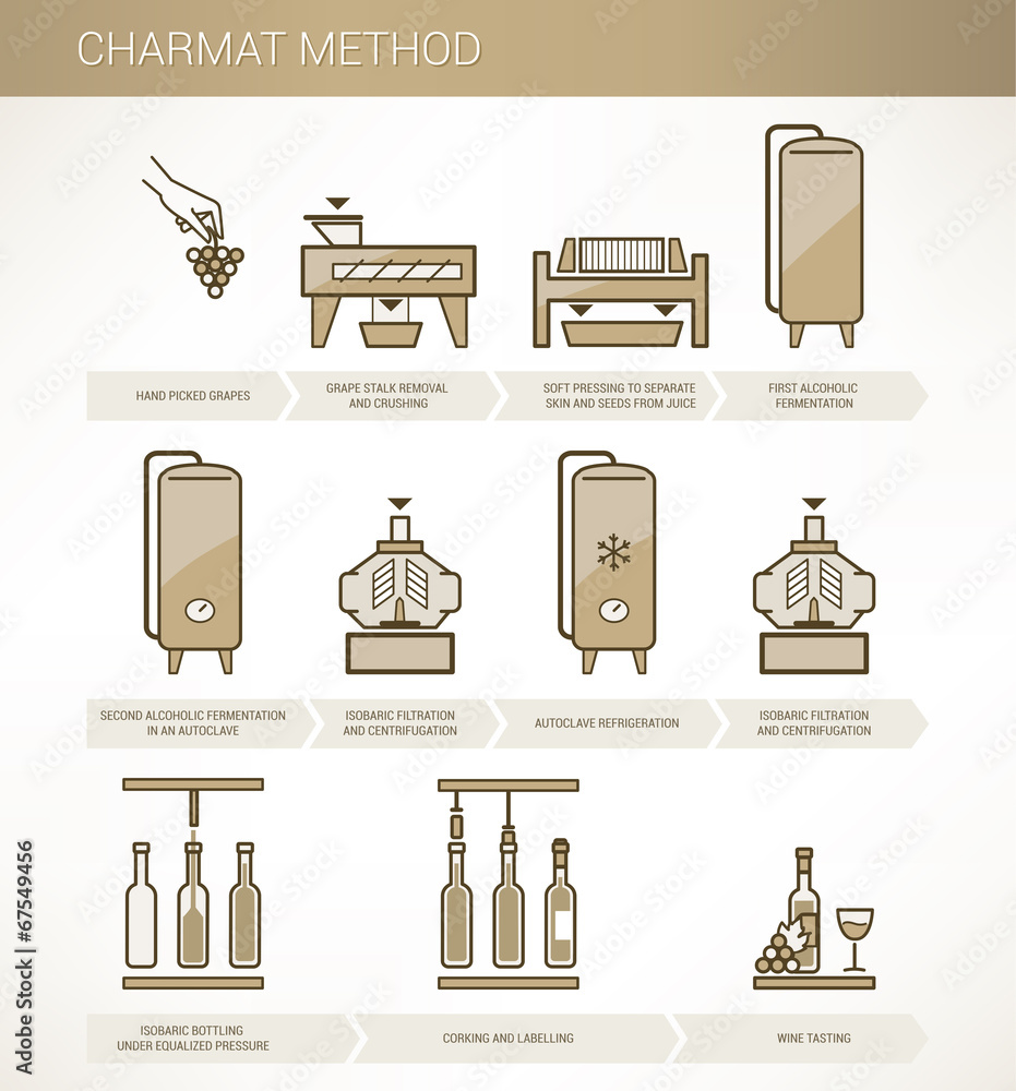 Winemaking: charmat method Stock Vector | Adobe Stock