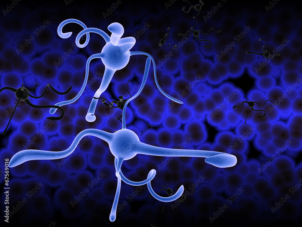 3D Model of Nerve Cells Stock Illustration | Adobe Stock