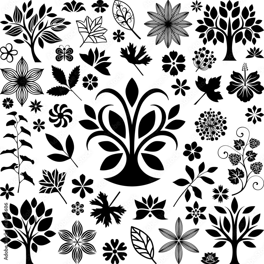 Botany collection II Stock Vector | Adobe Stock