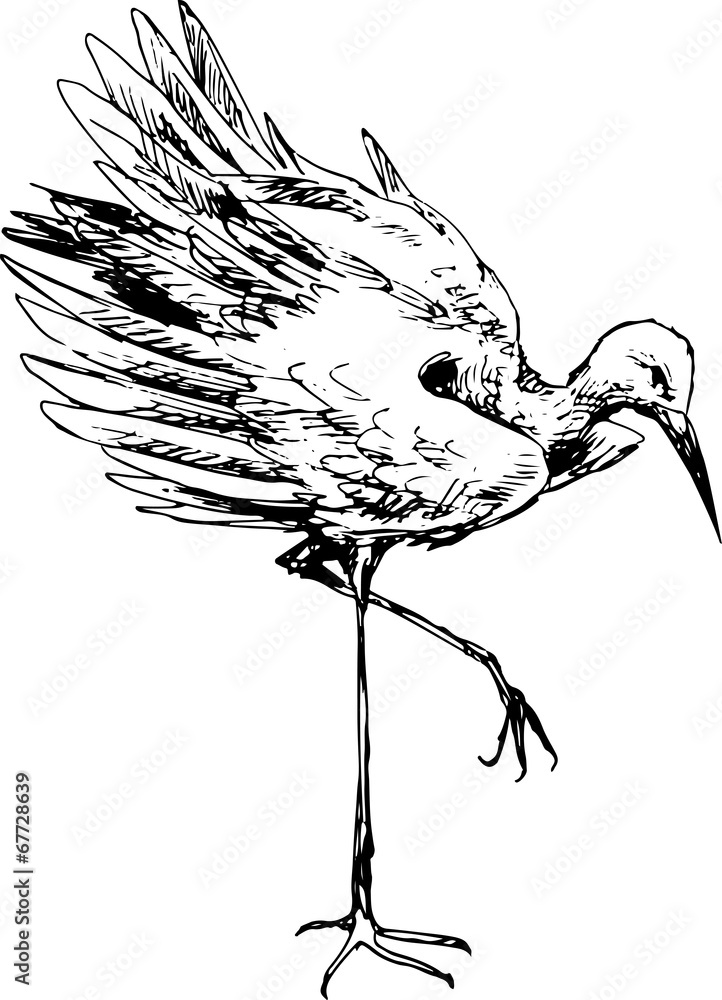 hand drawn stork Stock Vector | Adobe Stock