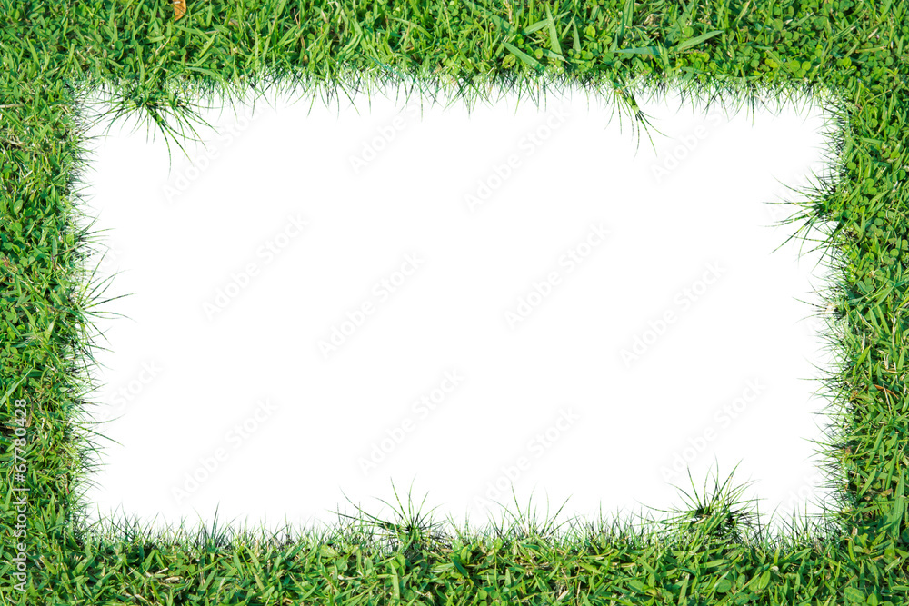 Green grass frame Stock Photo | Adobe Stock
