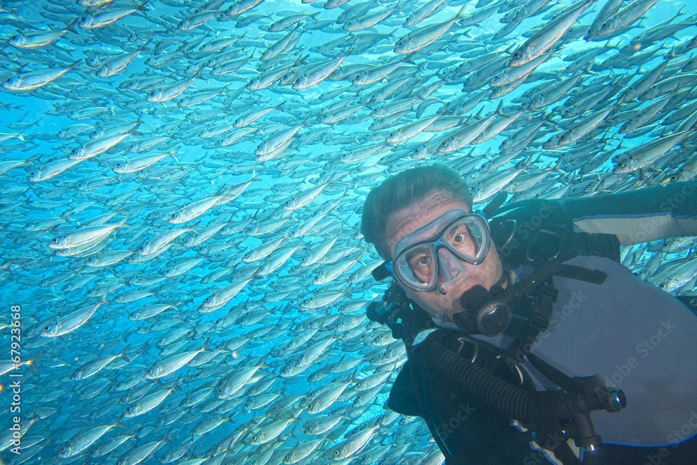 Scuba diver portrait while diving Inside a school of fish Stock Photo ...