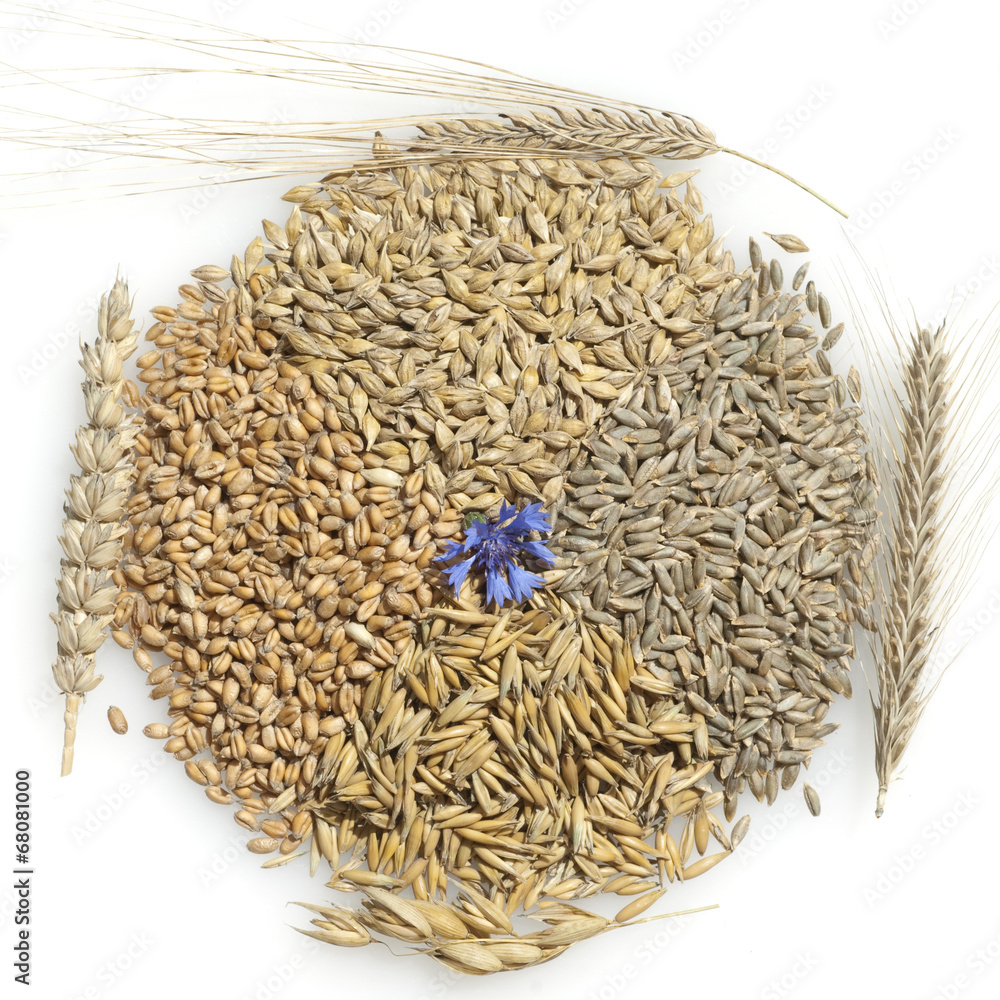 Getreidesorten, Getreide, Getreidekoerner; Stock Photo | Adobe Stock