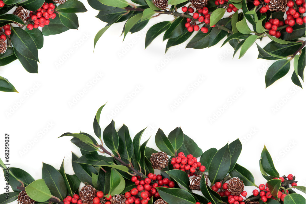 Holly Berry Border Stock Photo | Adobe Stock