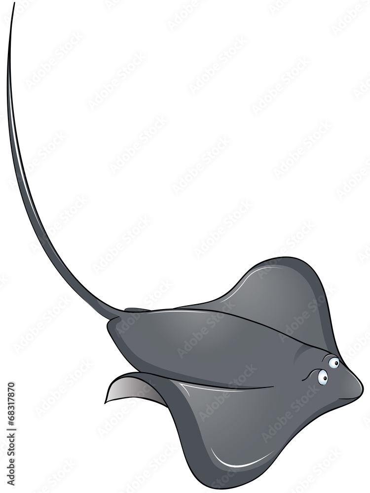 Rochen Mantarochen Stock-Vektorgrafik | Adobe Stock