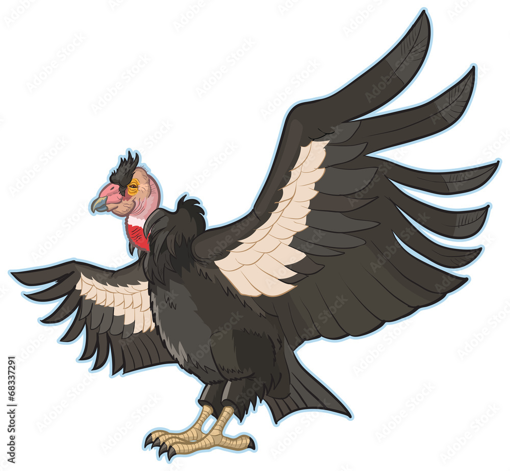 California Condor Vector Clip Art Illustration Stock Vector | Adobe Stock