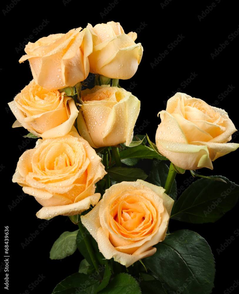 Bouquet of beautiful roses on black background Stock Photo | Adobe Stock