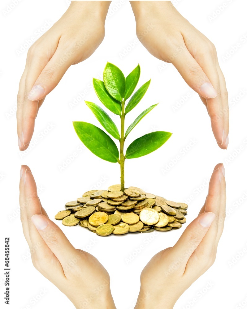 hands holding a young tree growing on coins Stock Photo | Adobe Stock