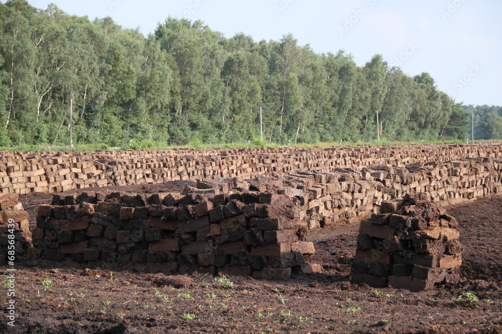 Torfabbau in der Lüneburger Heide Stock-Foto | Adobe Stock