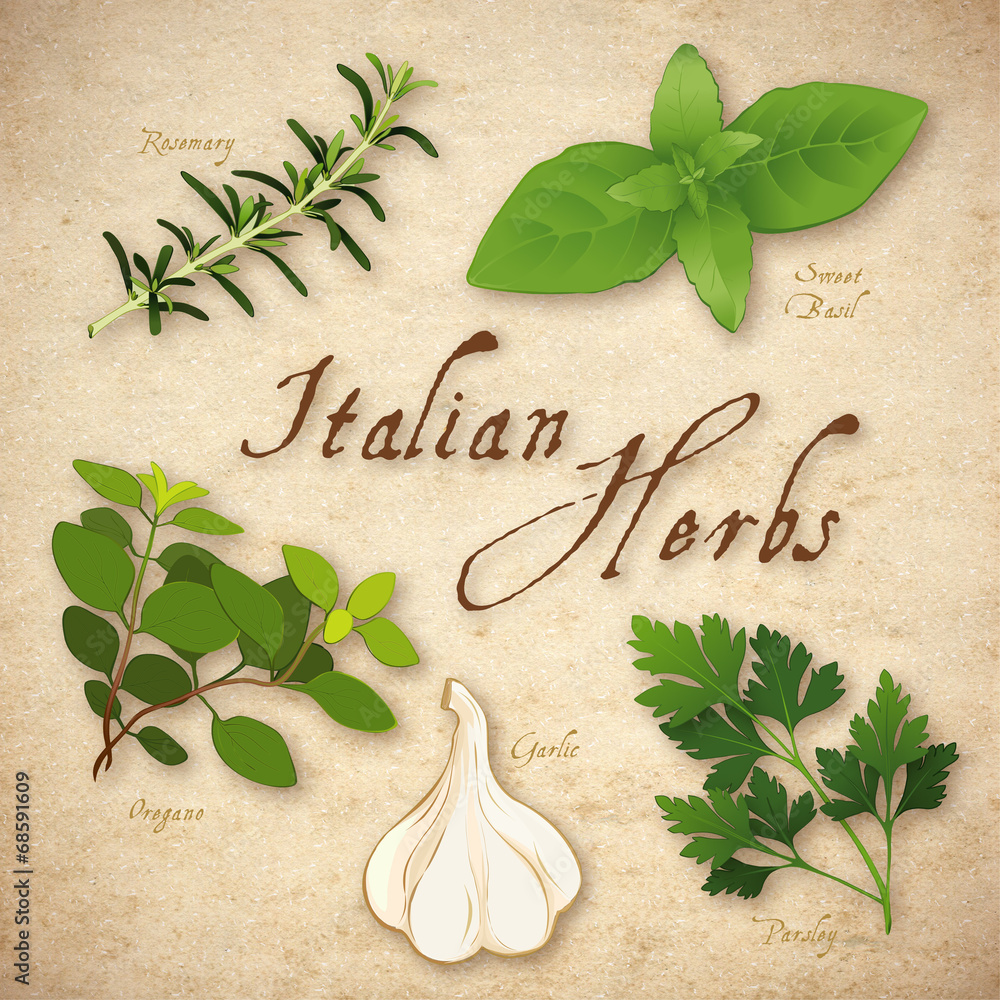 Italian Herbs, Rosemary, Garlic, Oregano, Sweet Basil, Parsley Stock ...