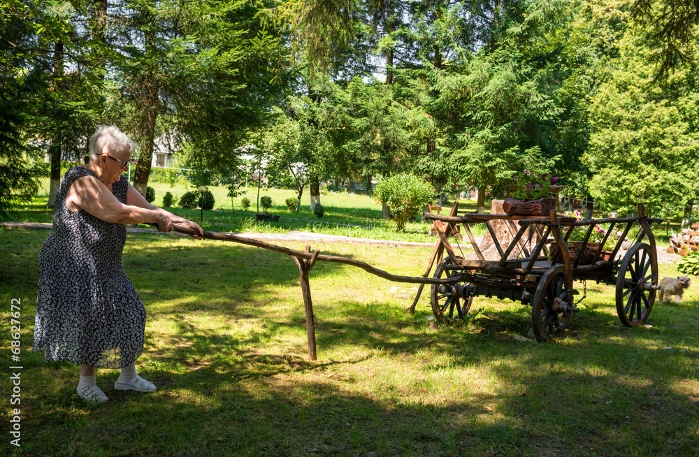 Old woman pulling a cart Stock-Foto | Adobe Stock