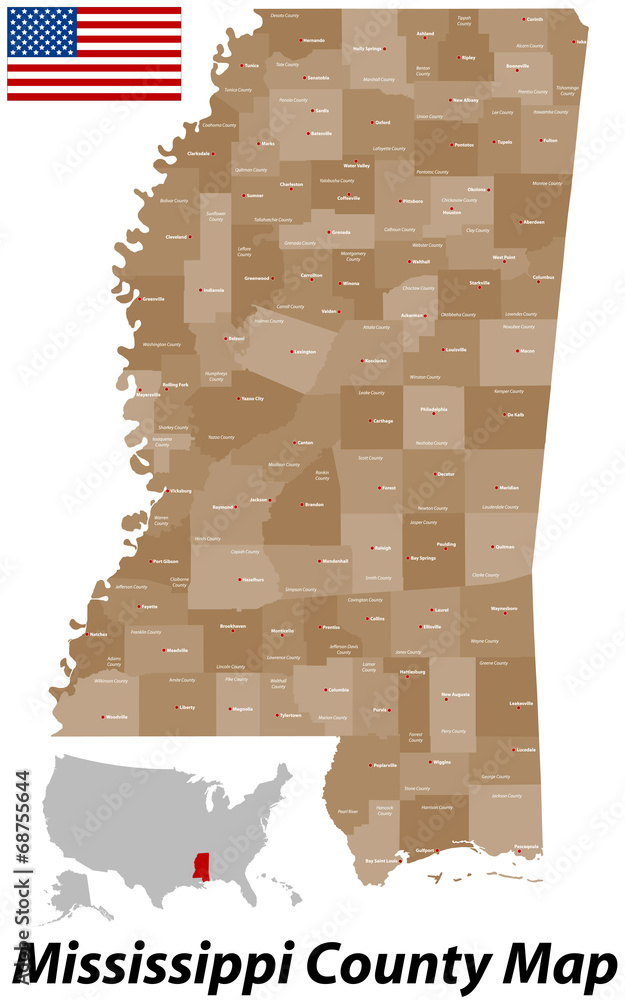 Mississippi County Map Stock Vector | Adobe Stock
