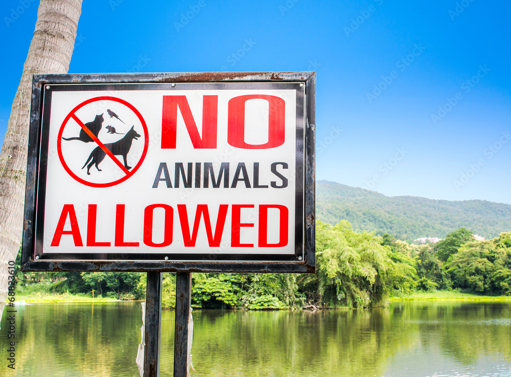 no pets allowed sign on gate in the park Stock Photo | Adobe Stock