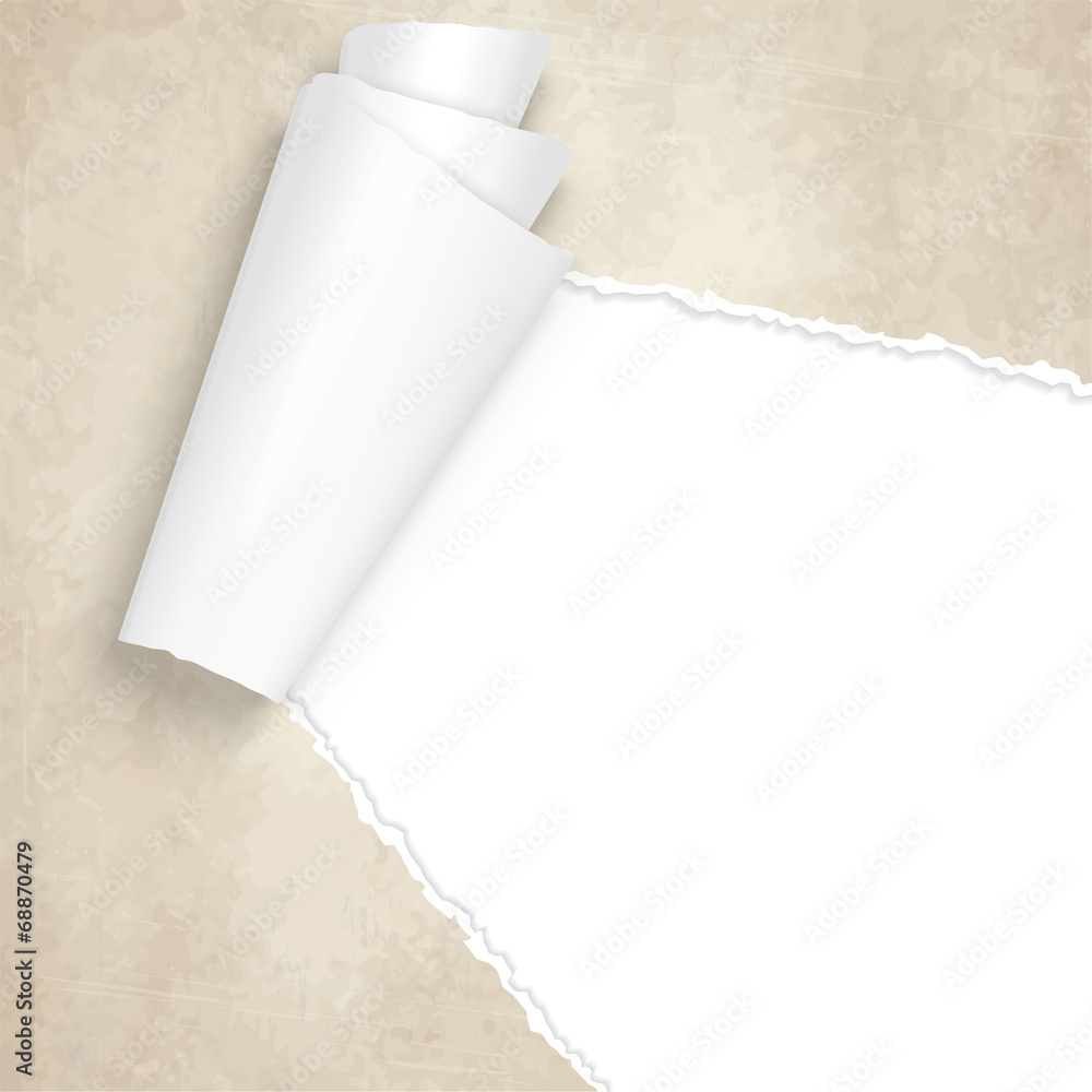 ripped open old vintage paper Stock Vector | Adobe Stock