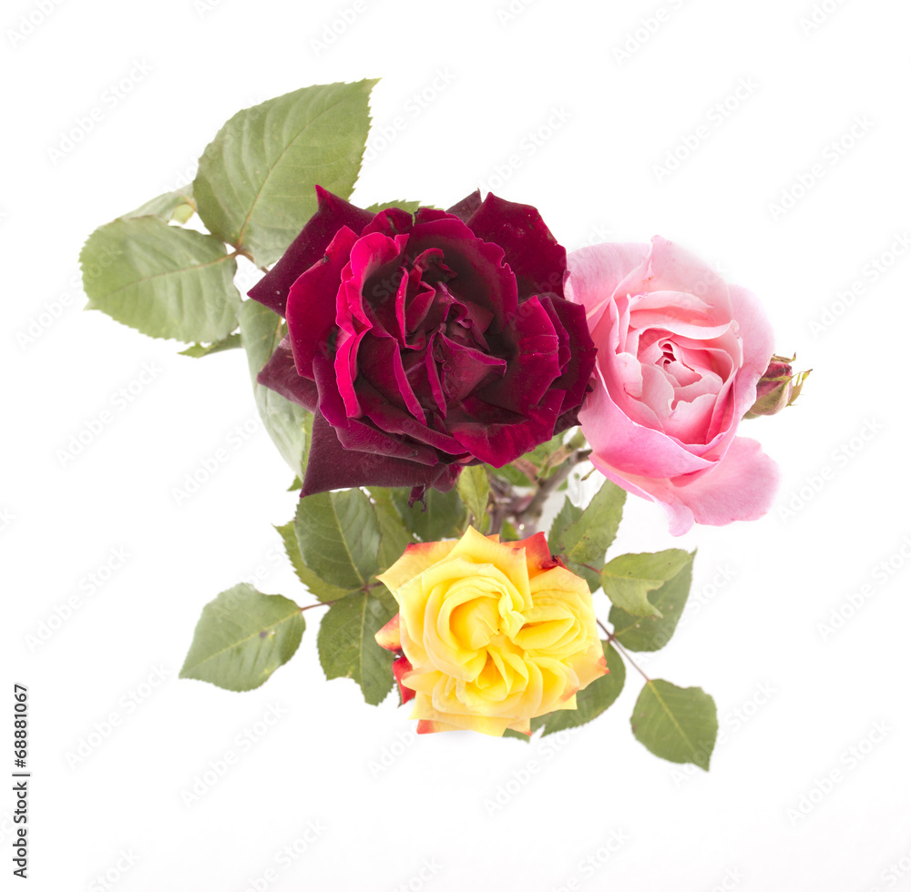 Top view of flowers in vase Stock Photo | Adobe Stock