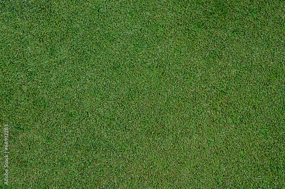 Golf Fringe Grass Close Up foto de Stock | Adobe Stock