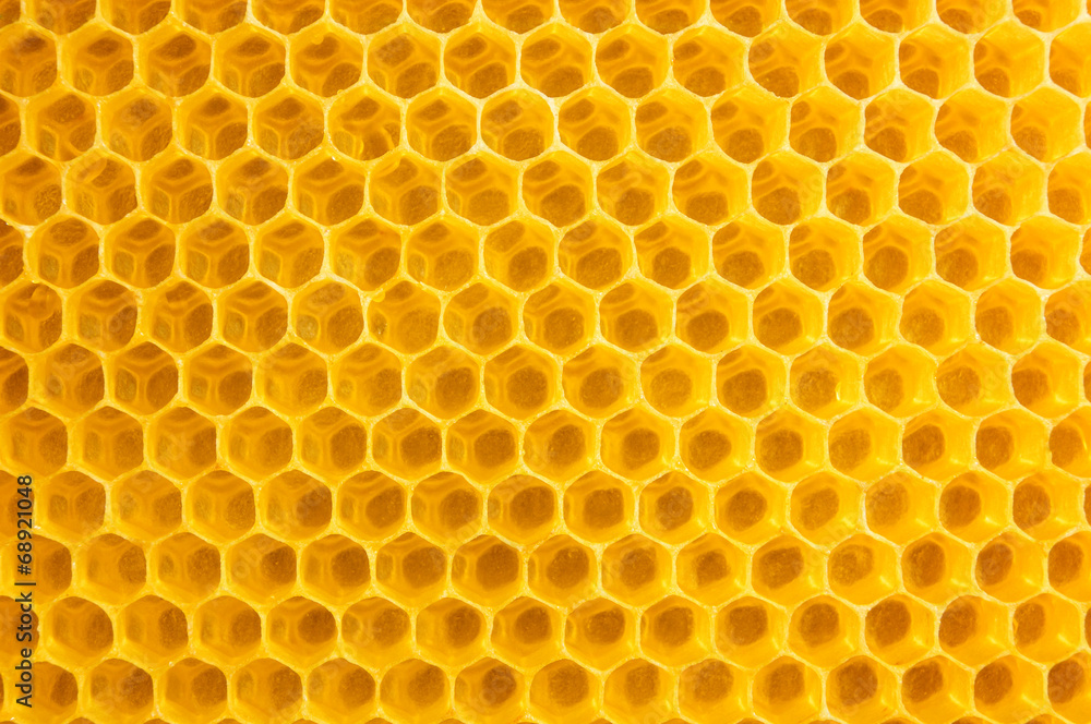 Honigwaben Hintergrund Stock-Foto | Adobe Stock