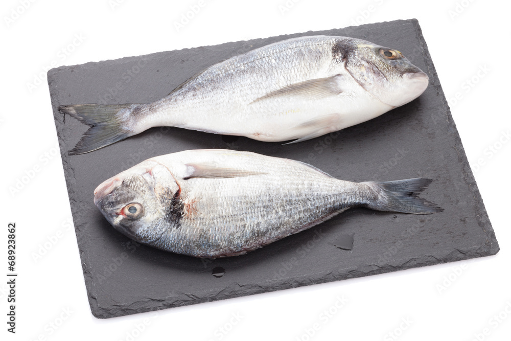 Fresh dorado fish Stock Photo | Adobe Stock