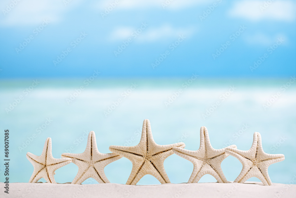 White Starfish On Beach