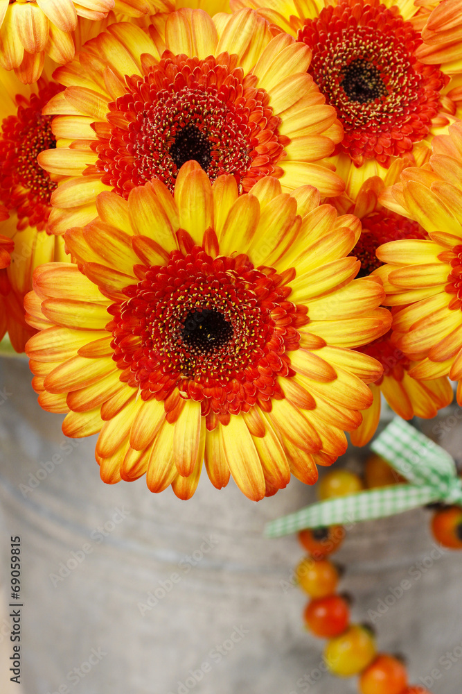 Bouquet of orange gerbera daisies in silver bucket on wooden tab Stock ...