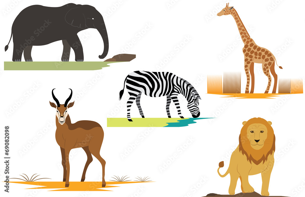Africa Safari Animals Lion Elephant Giraffe Gazelle and Zebra Stock ...