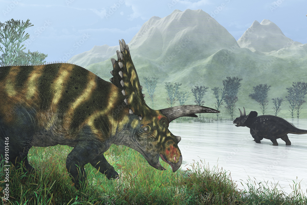 Coahuilaceratops